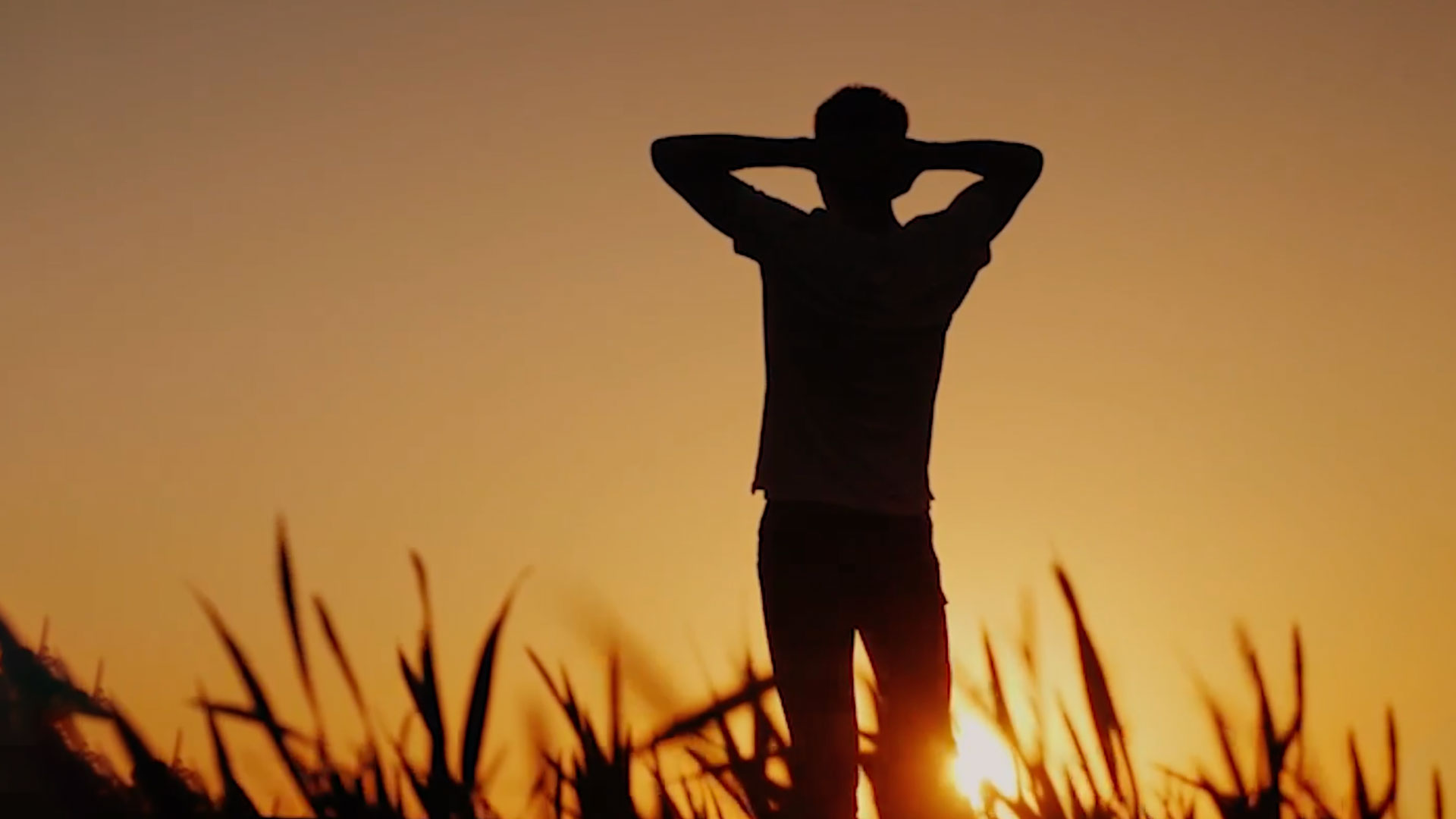 The Upstanders | Focusing on Cyber-Bullying | iNDIEFLIX Education